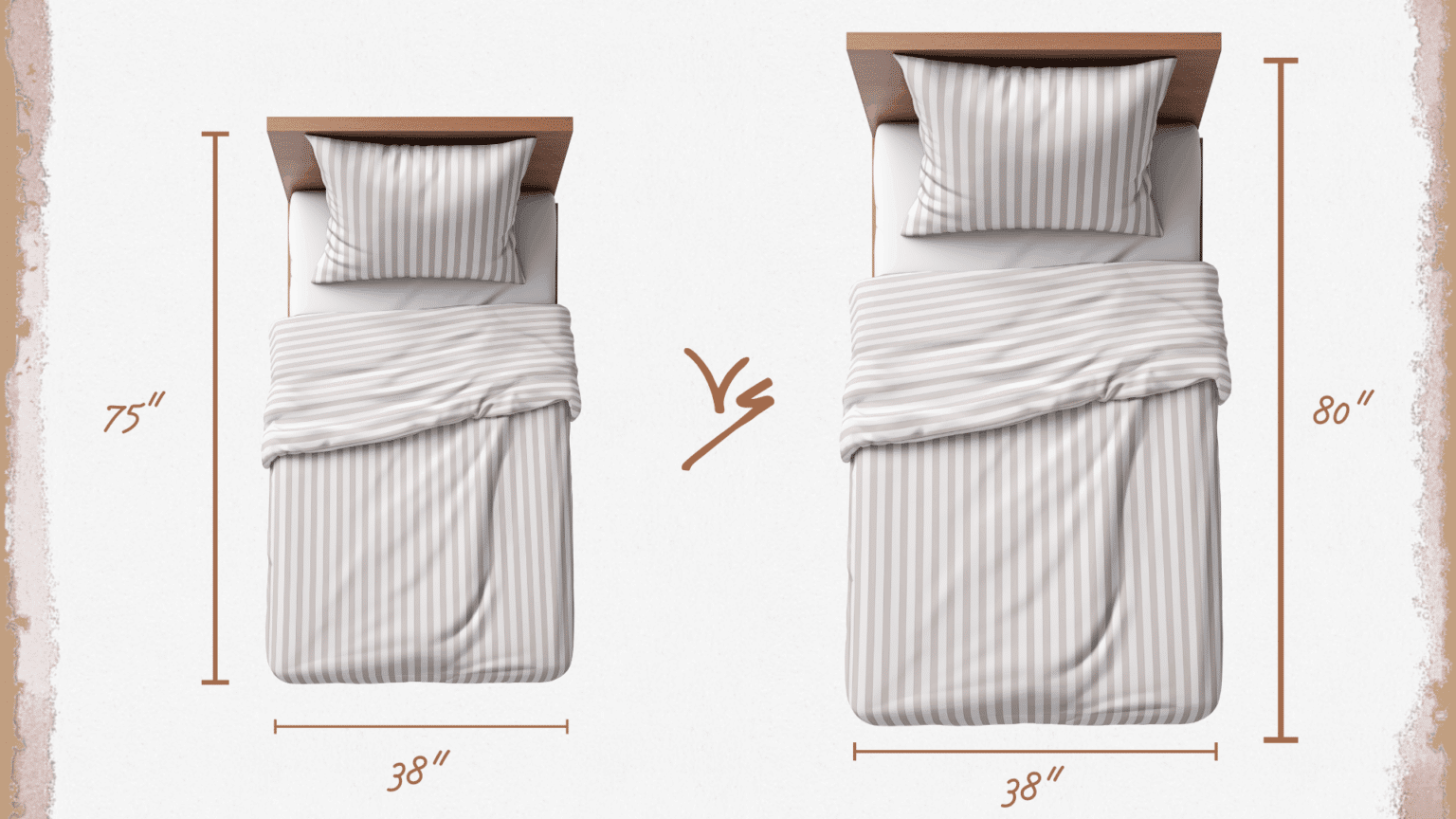 Twin XL Bed Size Guide: Length, Width & Comparisons - Easy Rest